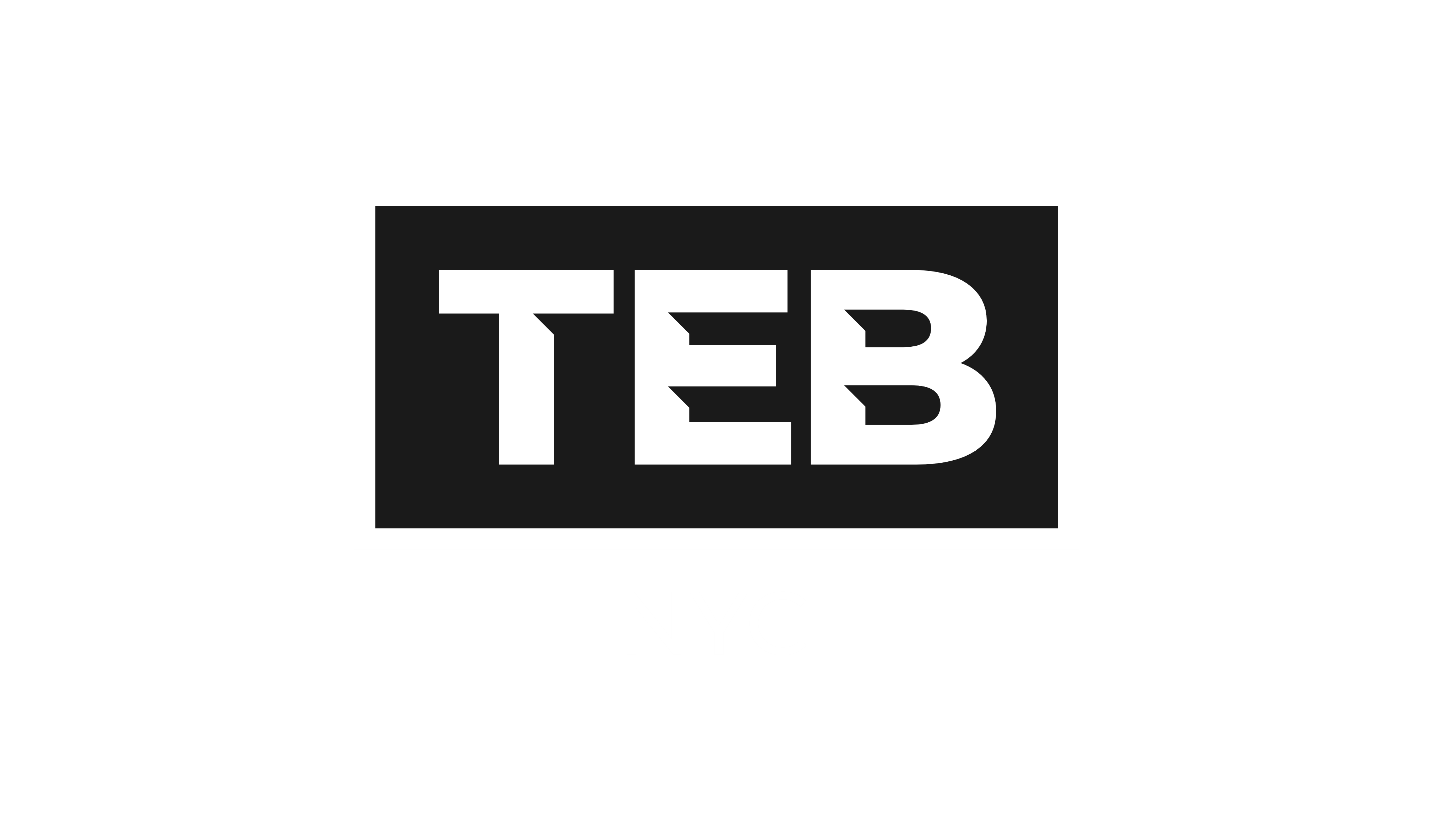 TEB NYC – TEB NYC te ofrece la oportunidad de poder entrenar en New ...